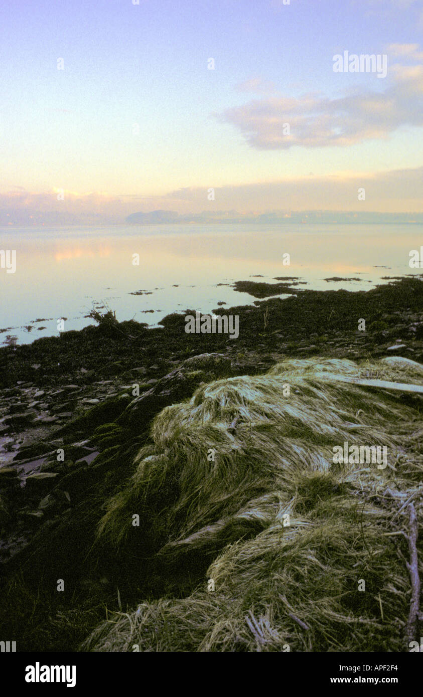 Lough foyle hi-res stock photography and images - Alamy