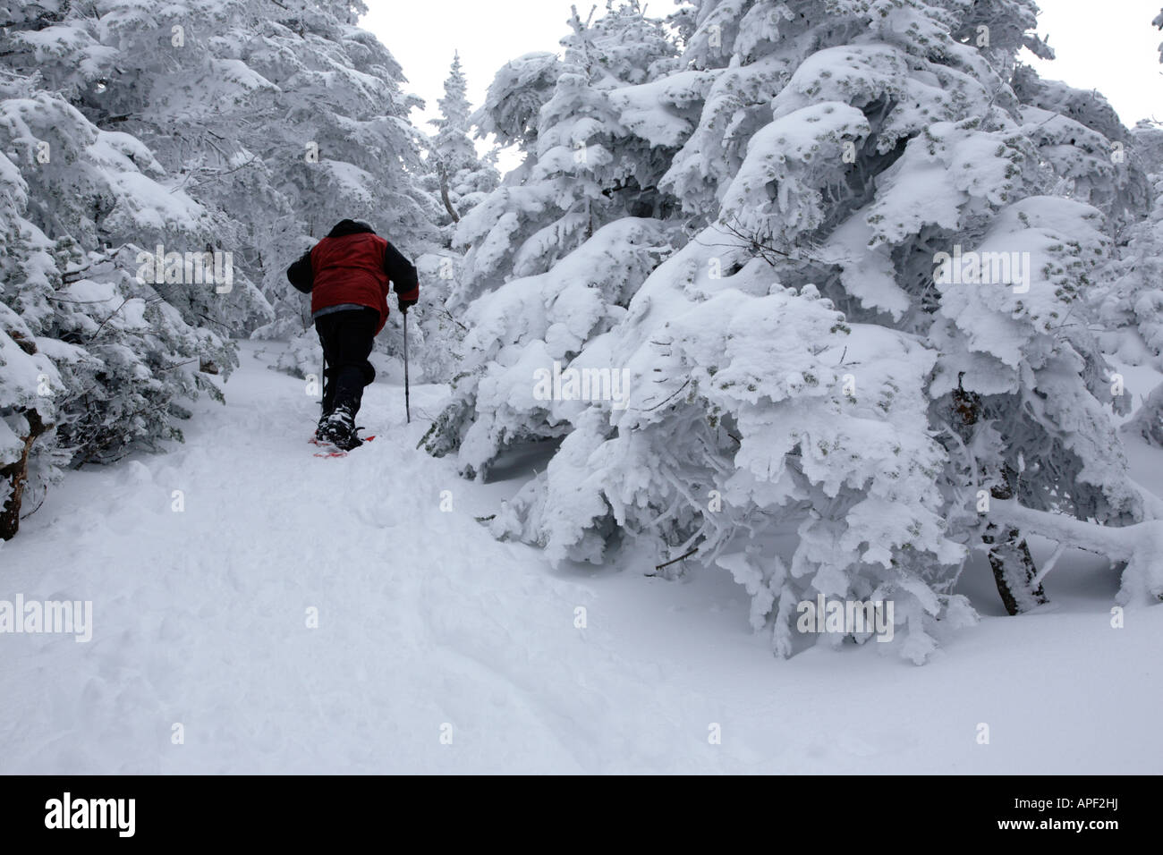 Appalachian Trail White Mountains New Hampshire USA Stock Photo - Alamy