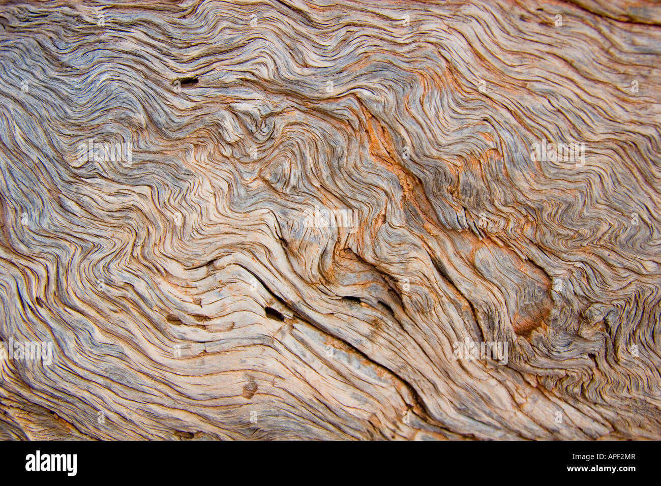 Sandblasted wood hi-res stock photography and images - Alamy