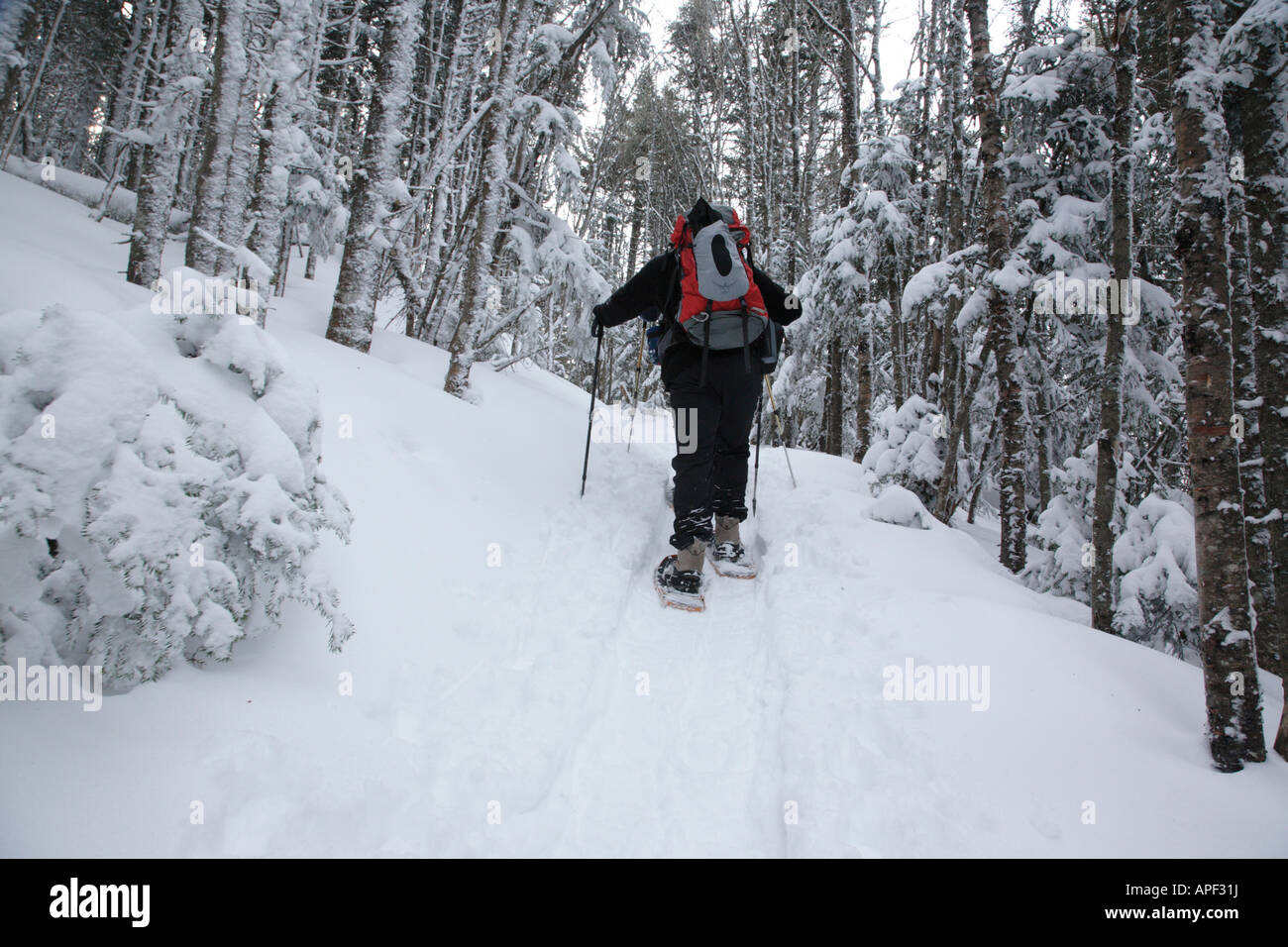 Garfield trail hi-res stock photography and images - Alamy