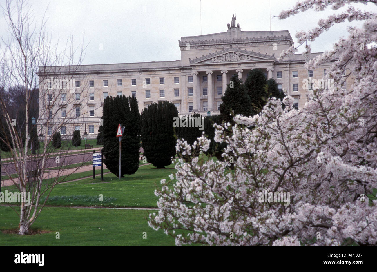 Stormont trees hi-res stock photography and images - Alamy