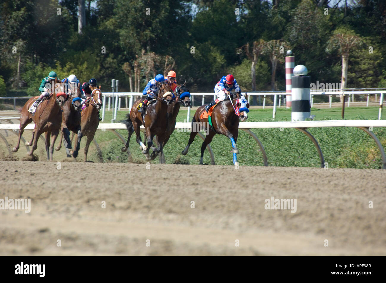 Horse racing at Hollywood Park California Stock Photo - Alamy