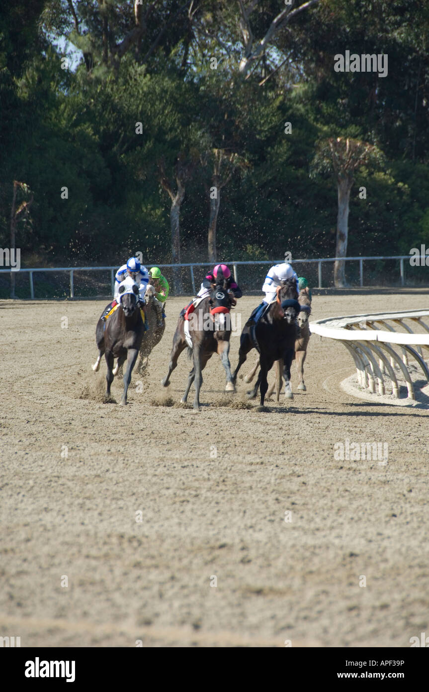 Inglewood california horses hi-res stock photography and images - Alamy