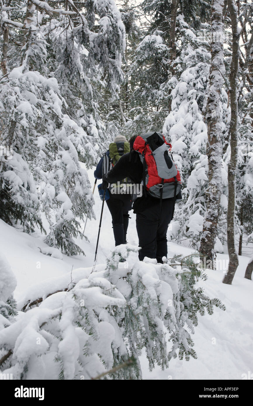Hiking on Garfield Trail during the winter months Located in the White ...