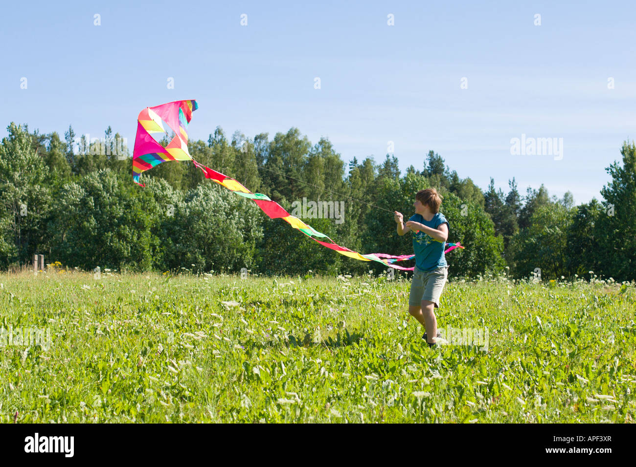 Boy kite grassland hi-res stock photography and images - Alamy