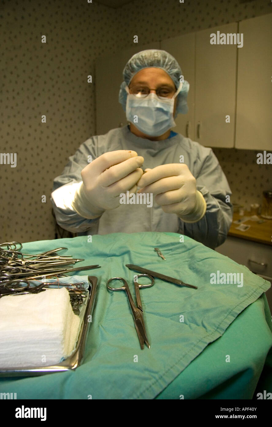 A surgeon readies a scalpel in an operating room prior to surgery Stock ...