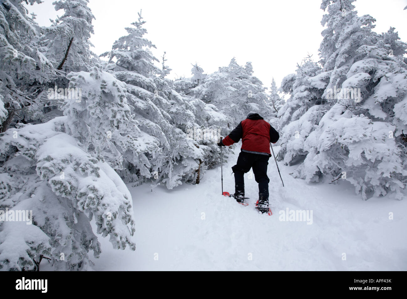 Appalachian Trail White Mountains New Hampshire USA Stock Photo - Alamy
