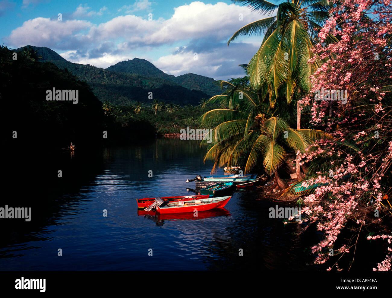 Boats on a river and blossoms on the island of Dominica, French ...