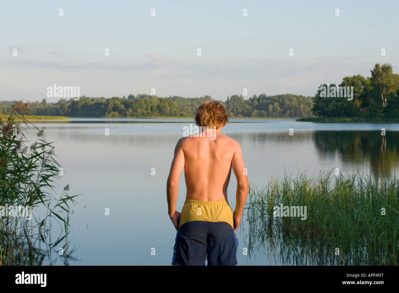 back of a boy Stock Photo - Alamy