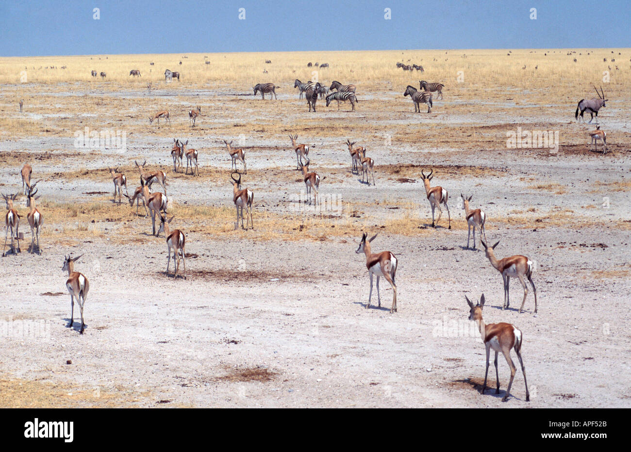 Andoni plains hi-res stock photography and images - Alamy