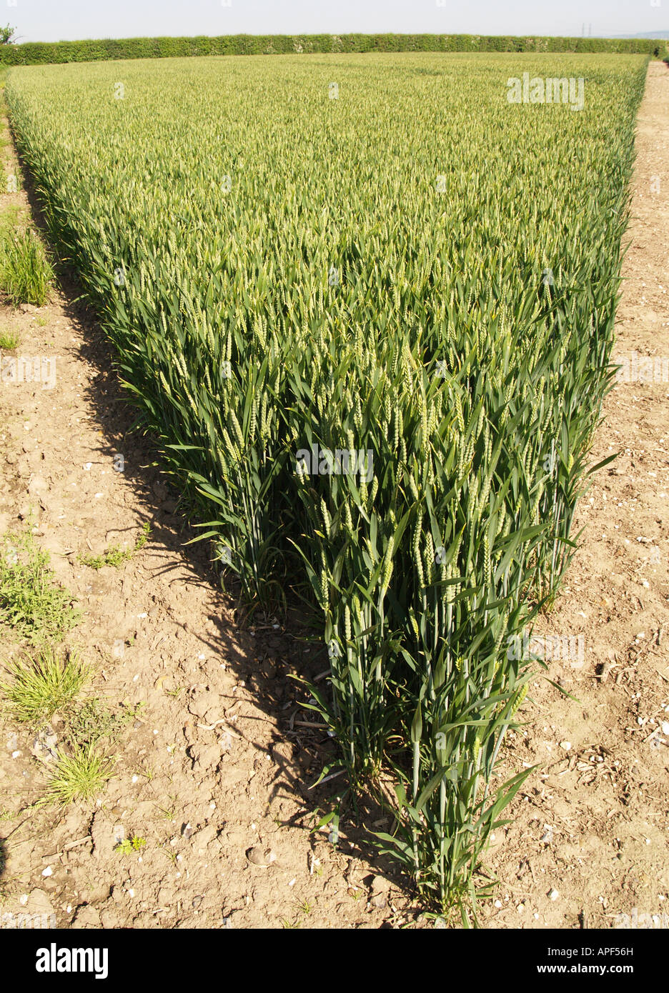 How triangle hi-res stock photography and images - Alamy