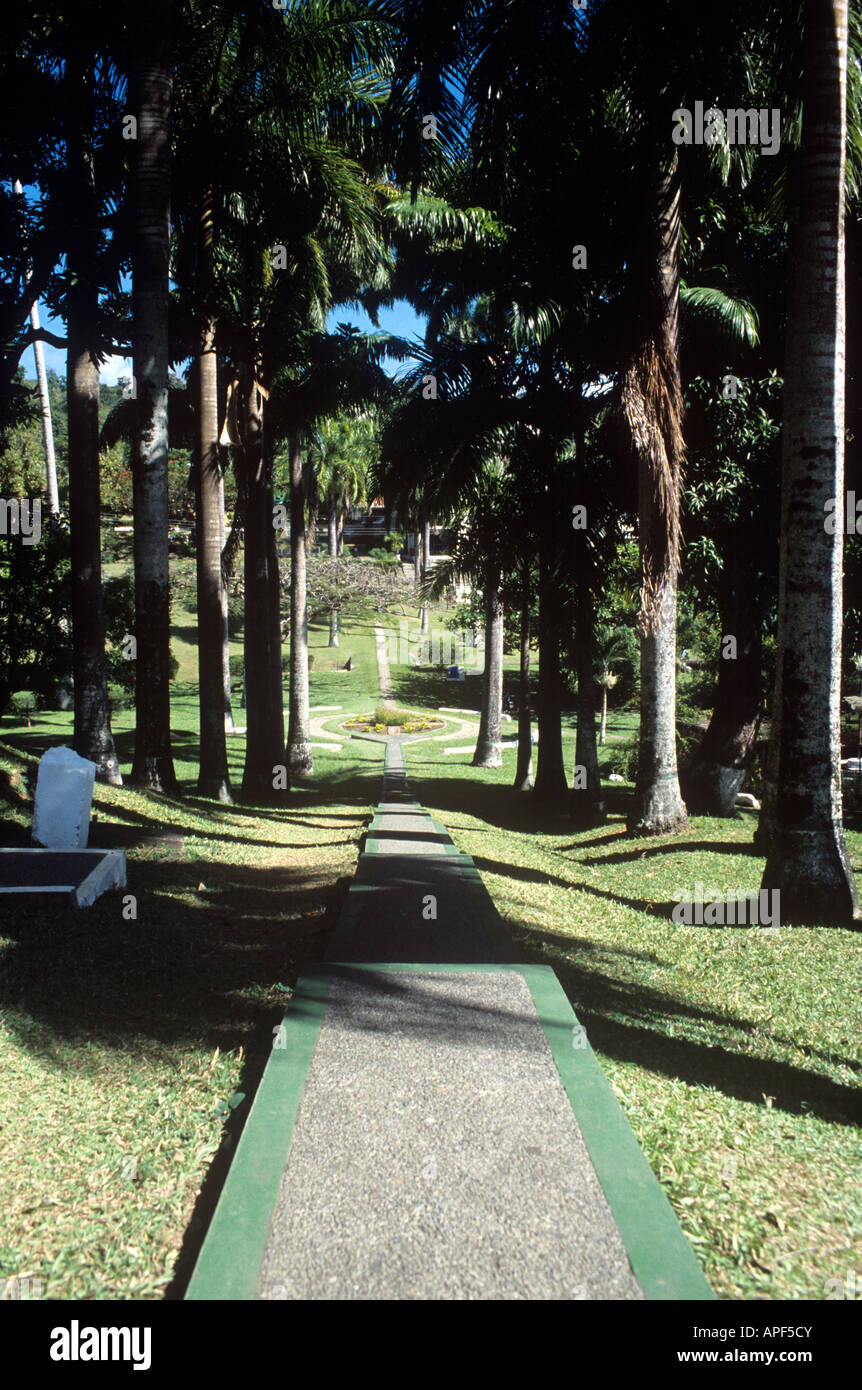 Tropical Botanical Gardens in Tobago Stock Photo - Alamy
