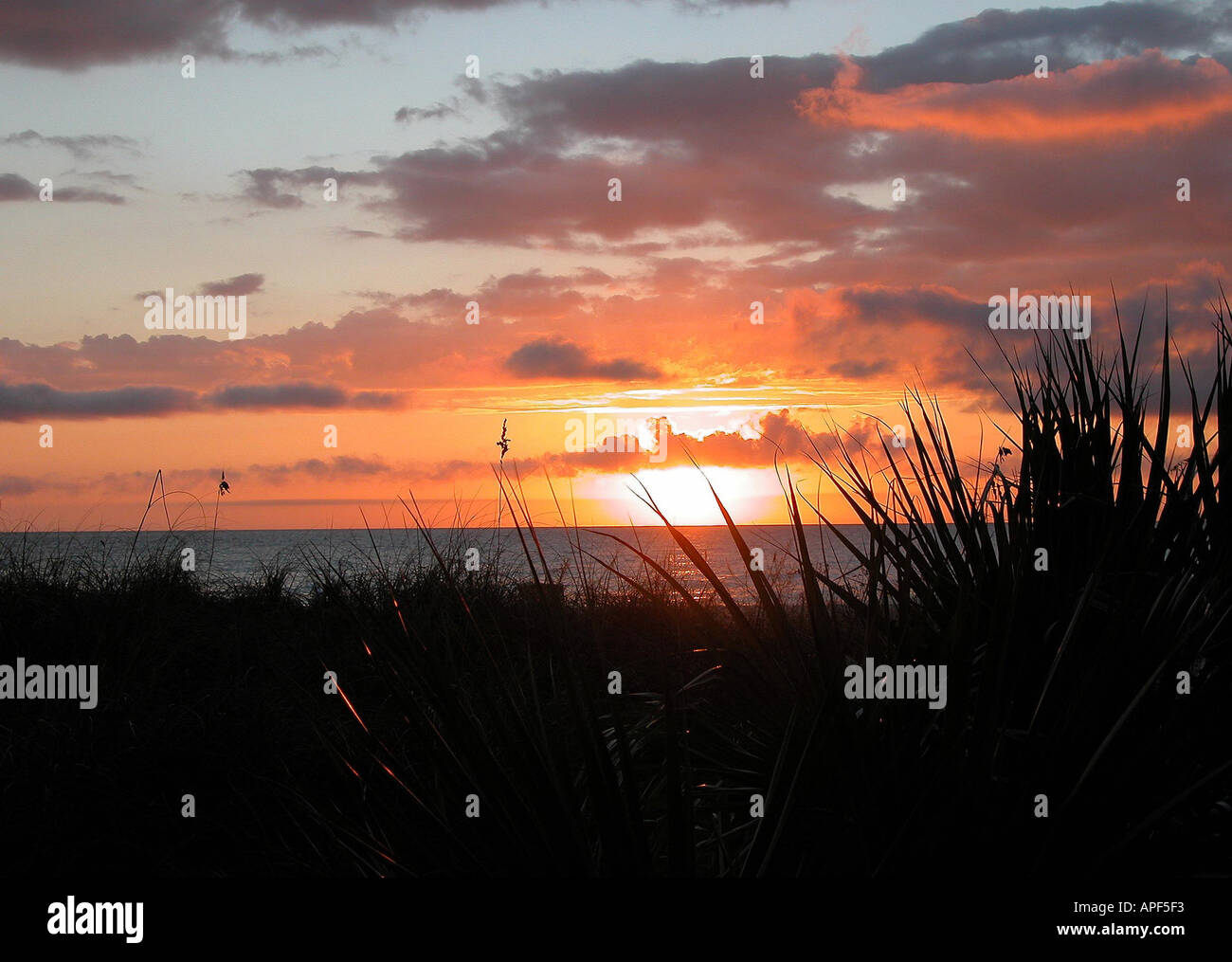 A Beautiful Sunset at The Gulf Coast Florida United States America USA ...