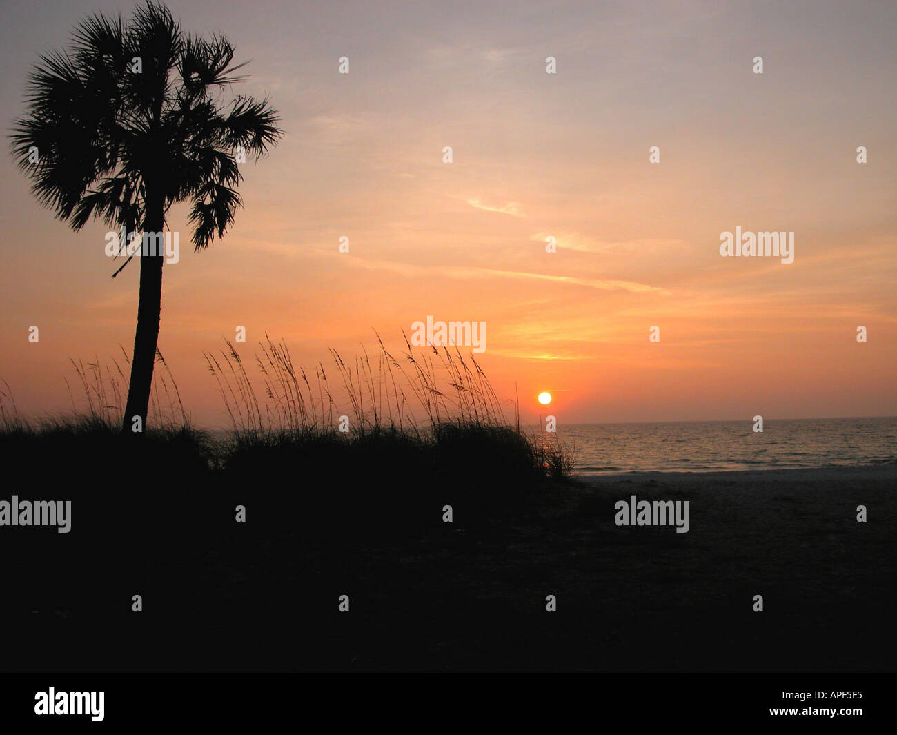 Florida Gulf Coast Sunset United States America USA Stock Photo - Alamy
