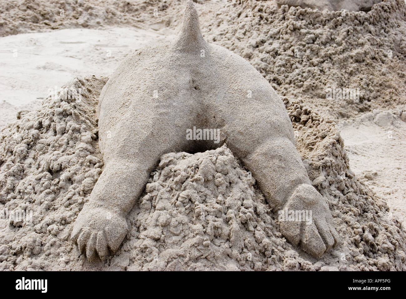 EDITORIAL USE ONLY! Sand sculpture at Crane Beach, Ipswich, MA. NR ...