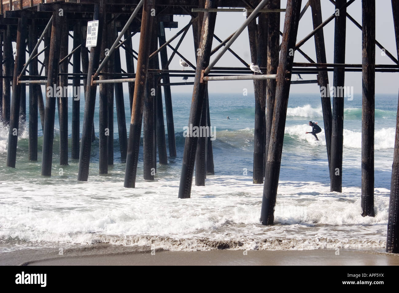 EDITORIAL USE ONLY! Surfing next to the Oceanside Pier, Oceanside, CA ...
