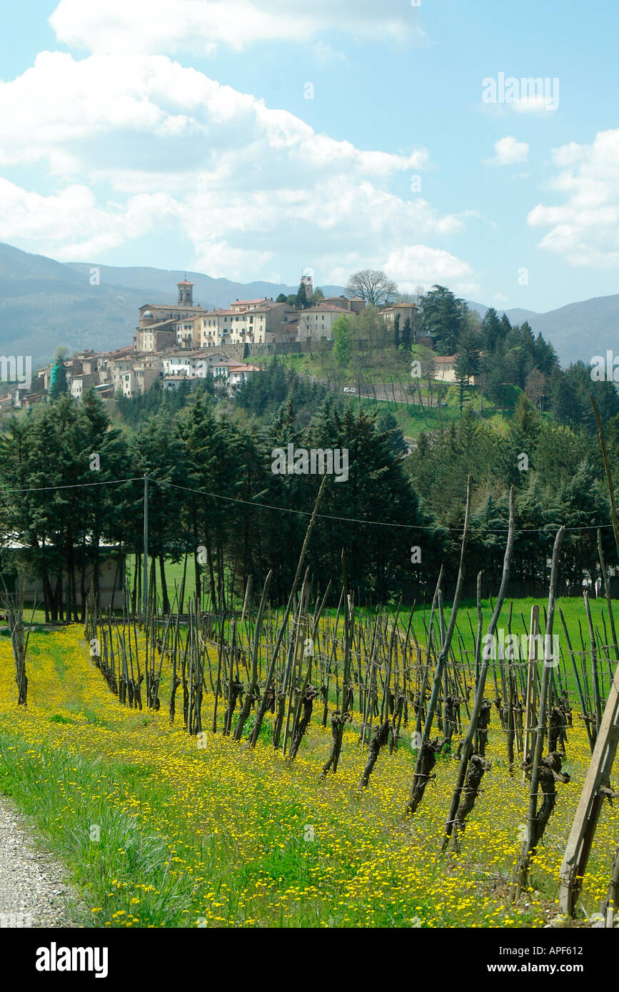 Italia monterchi hi-res stock photography and images - Alamy