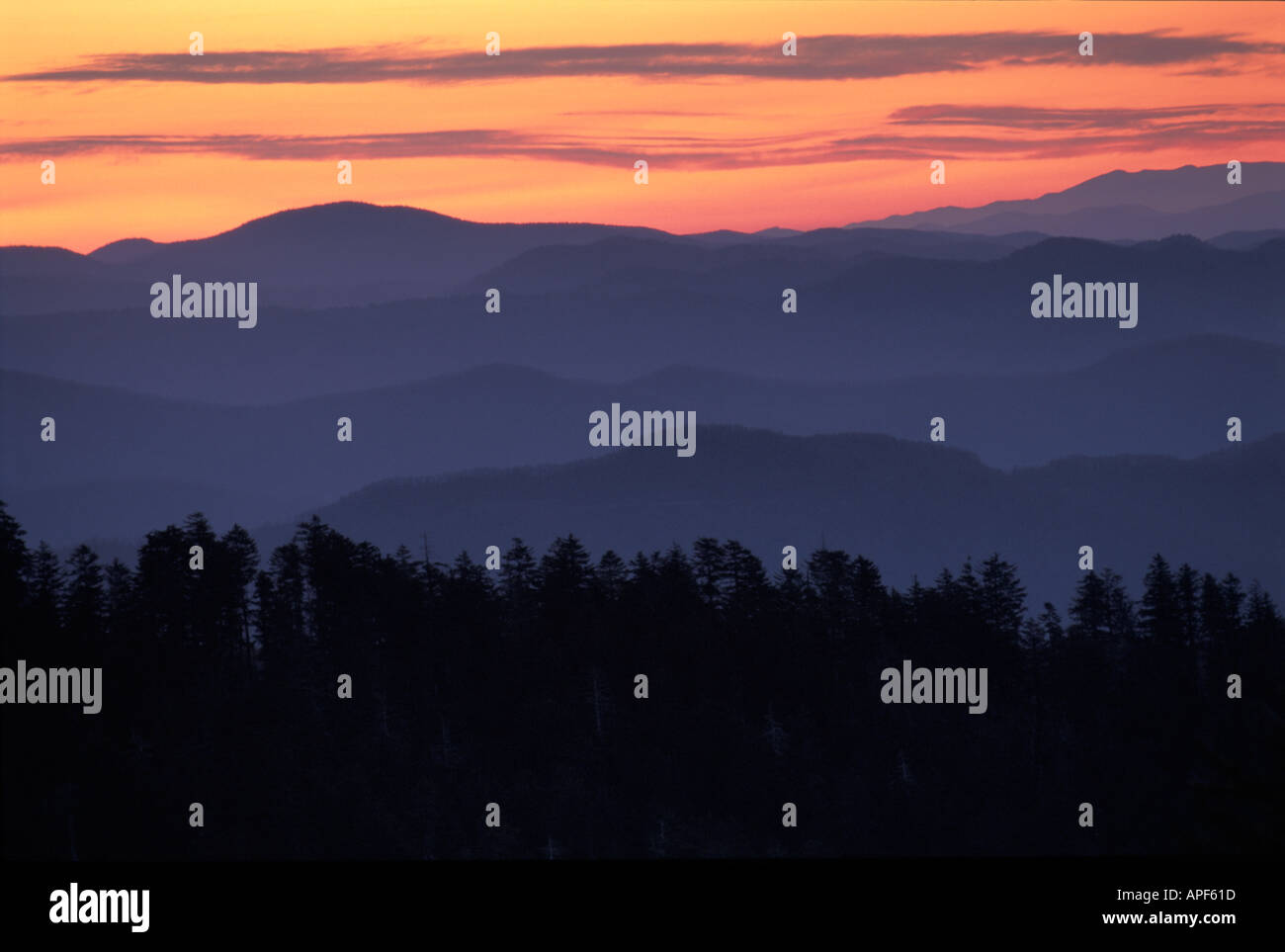 Ridge lines of Smoky Mountains outlined before dawn Smoky Mountains ...