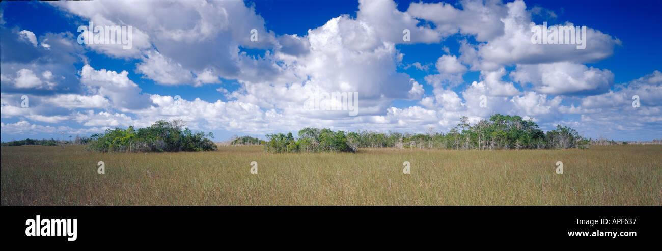 Sawgrass prairie hi-res stock photography and images - Alamy