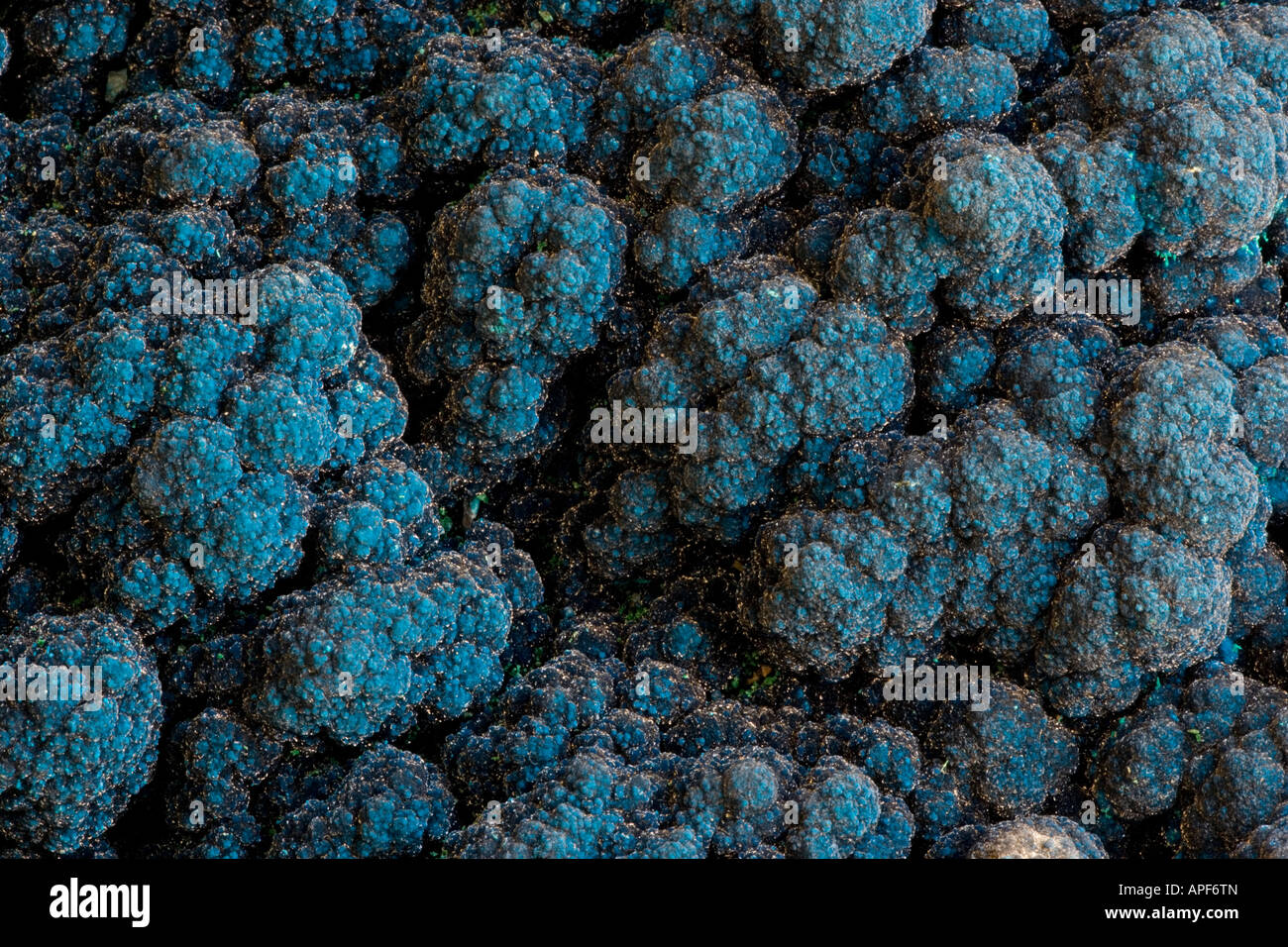 Cornetite - Mineral specimen close up - Zaire Stock Photo - Alamy