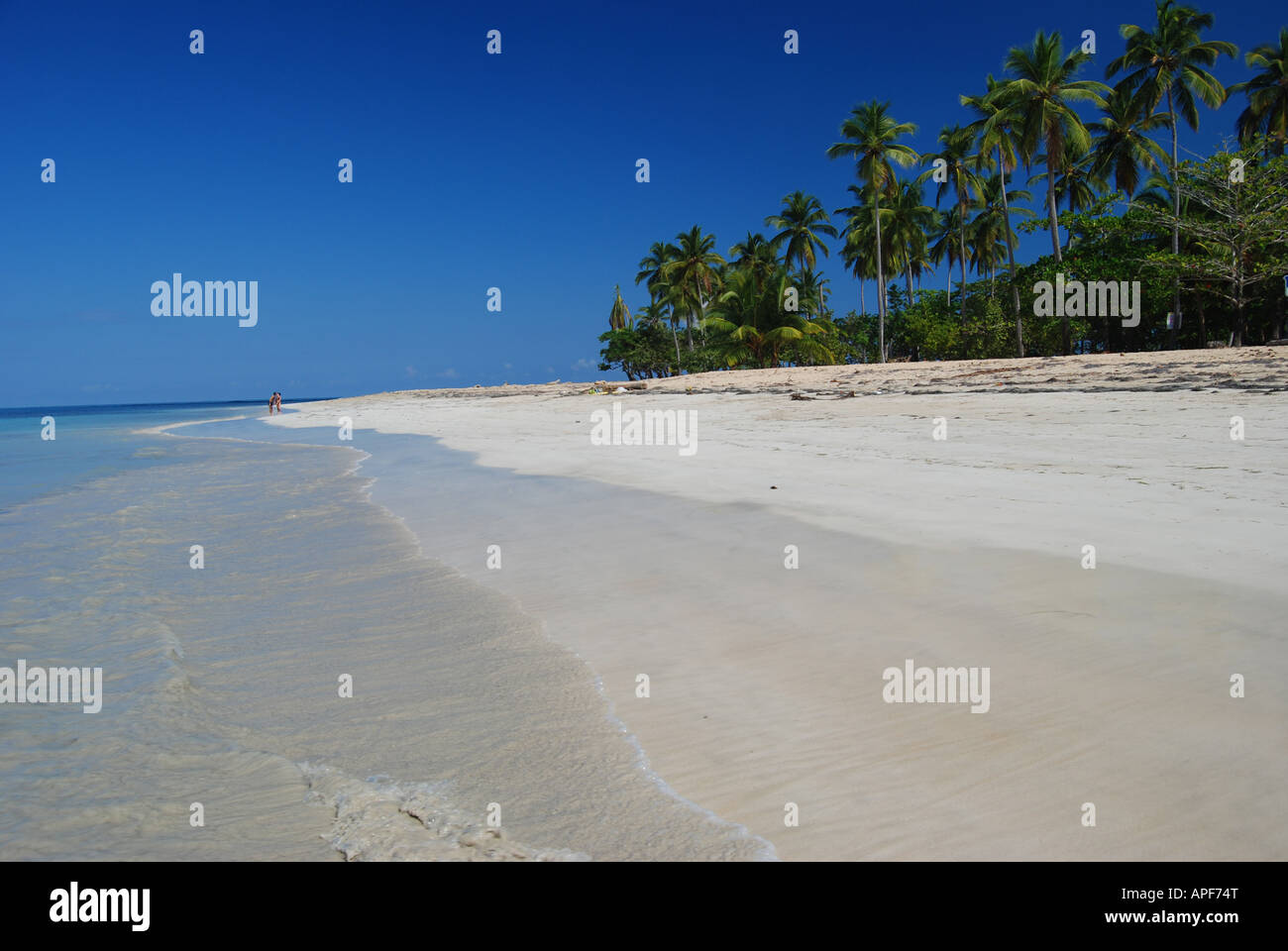 Punta popy dominican republic hi-res stock photography and images - Alamy