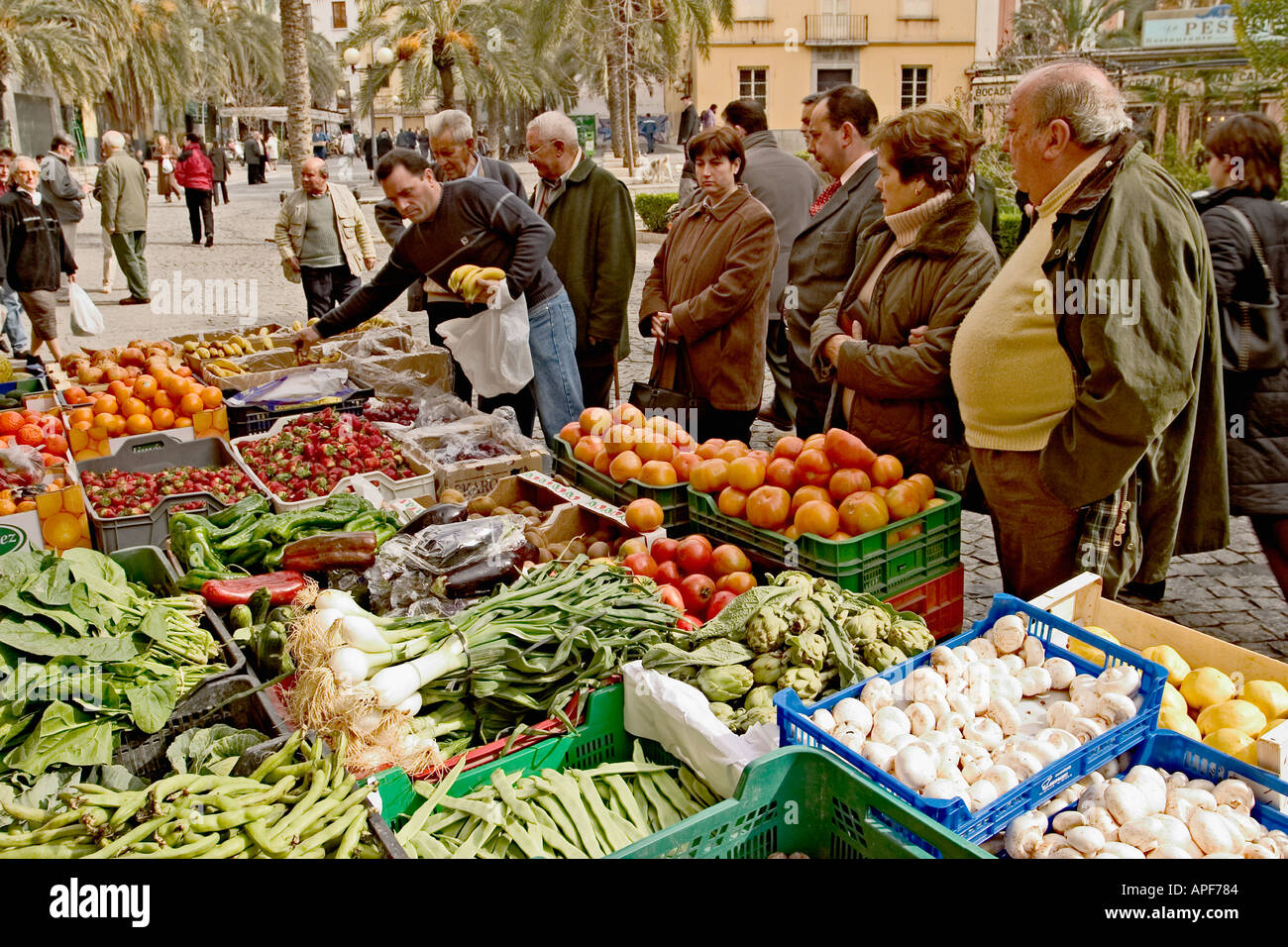 Granada Spain Outdoor fruit and vegetable market Stock Photo - Alamy