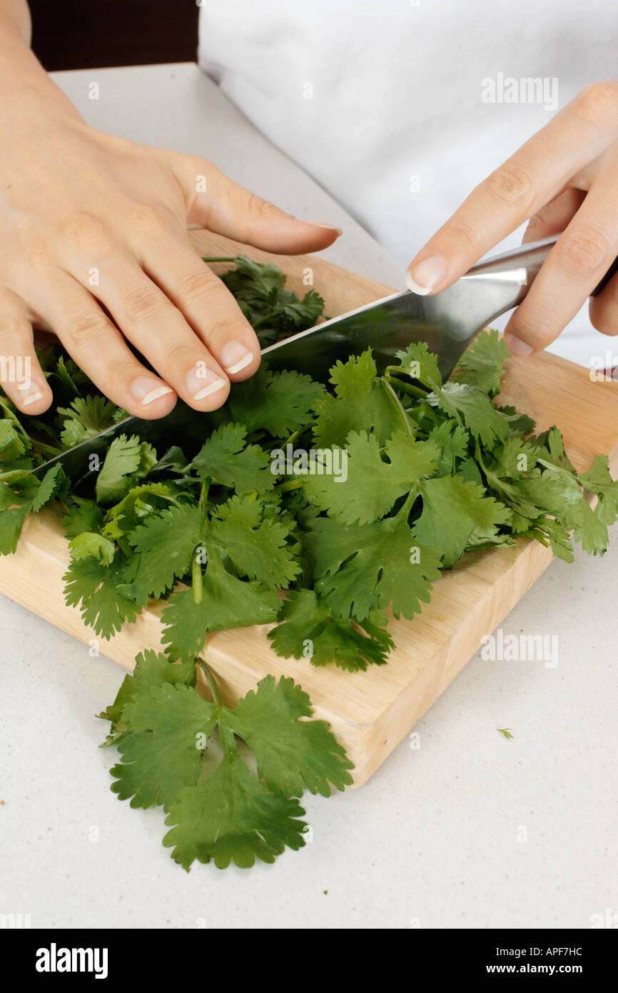 Cutting coriander plant hi-res stock photography and images - Alamy