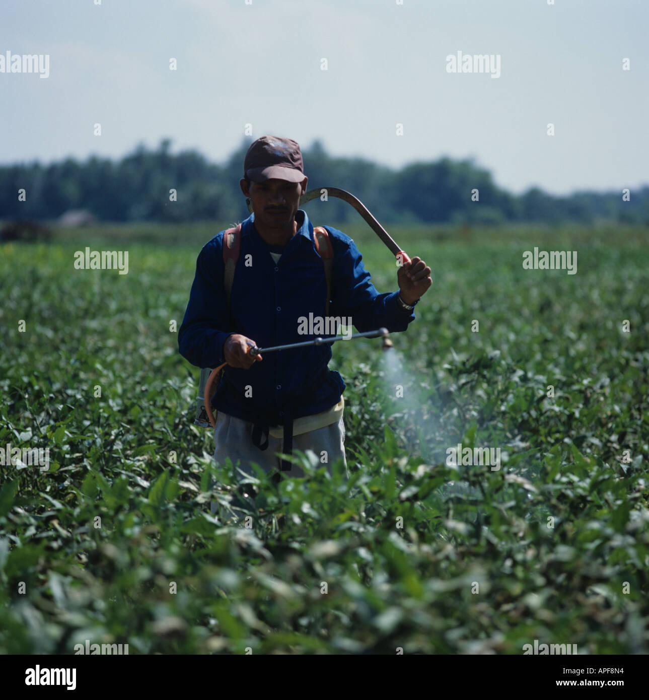 Knapsack sprayer hi-res stock photography and images - Alamy