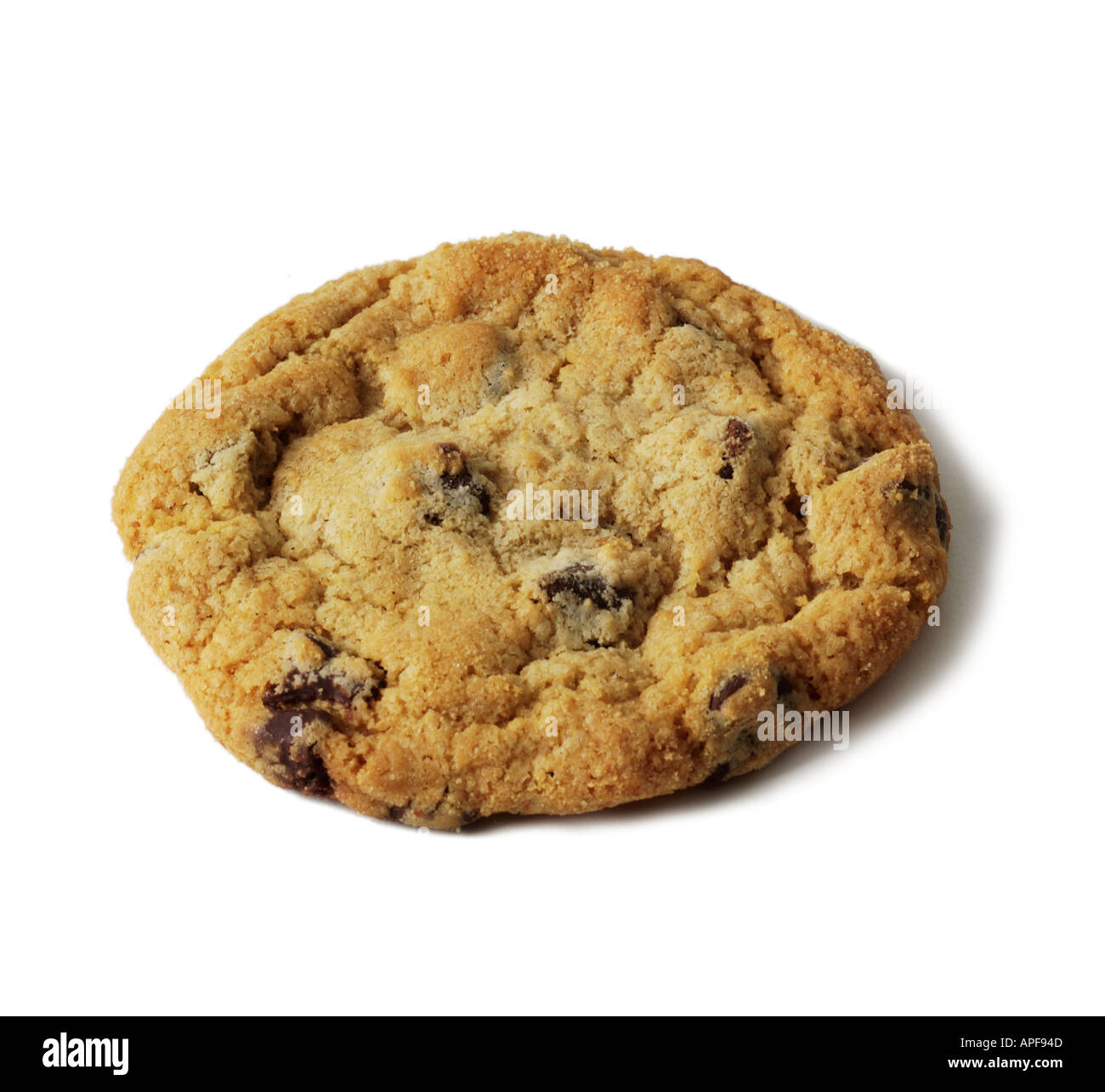 single chocolate chip cookie Stock Photo - Alamy