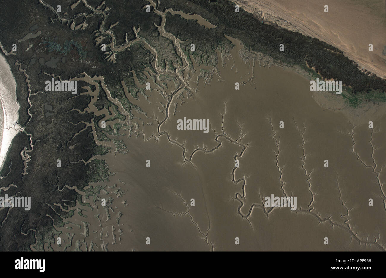 Mud flats on the Essex coast Stock Photo - Alamy
