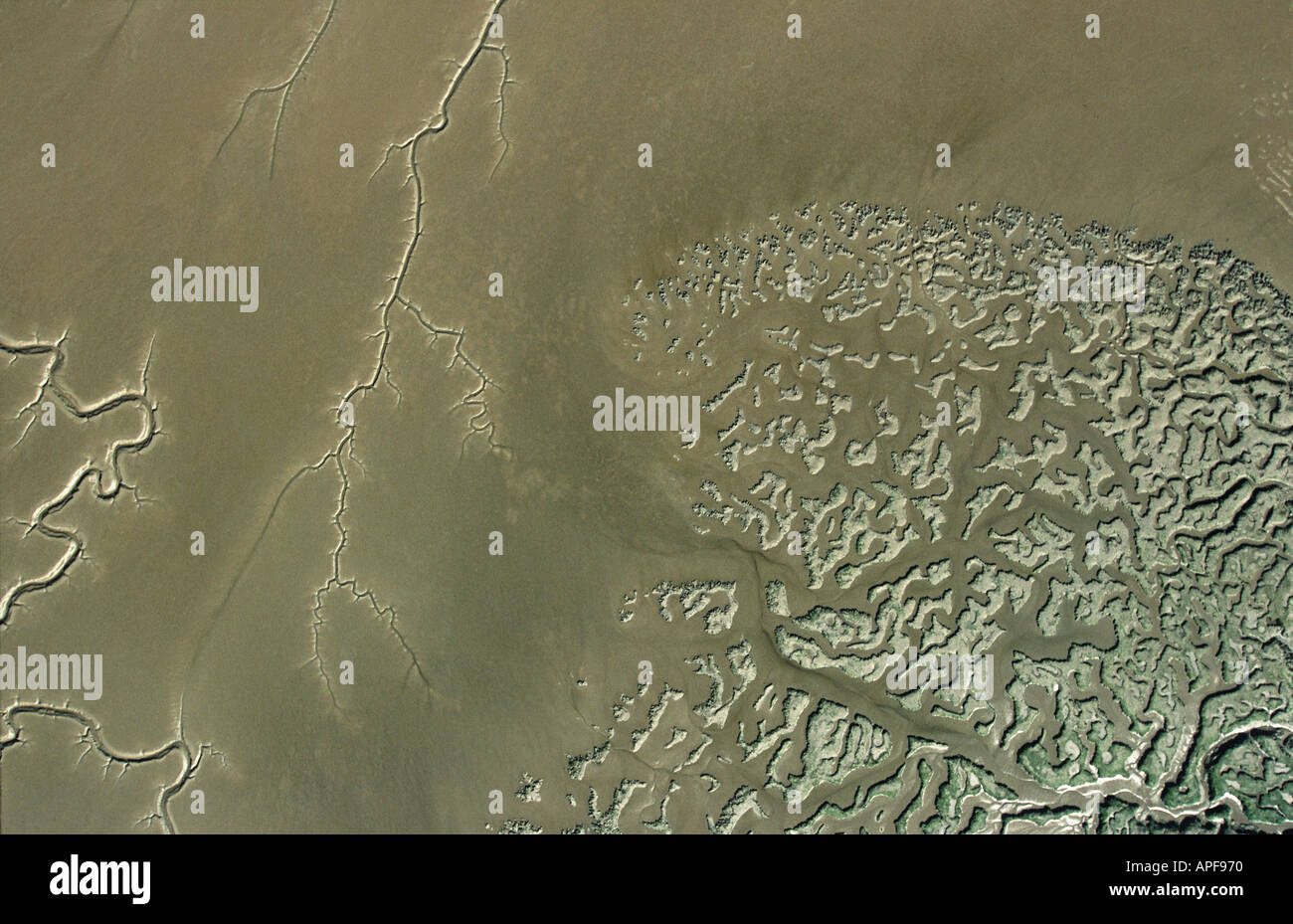 Mud flats on the coast of Essex England Stock Photo - Alamy