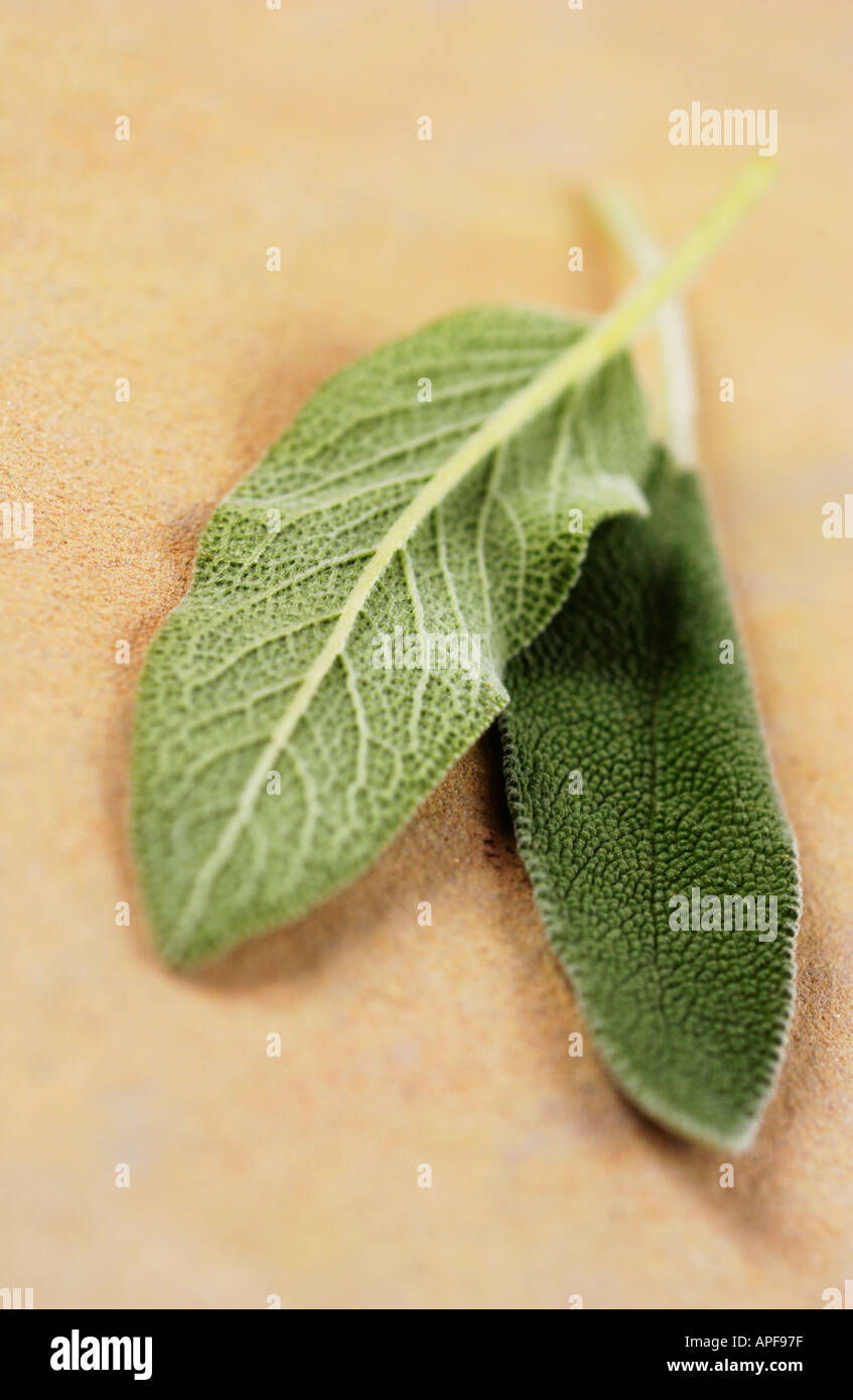 Medicinal Spice High Resolution Stock Photography and Images - Alamy