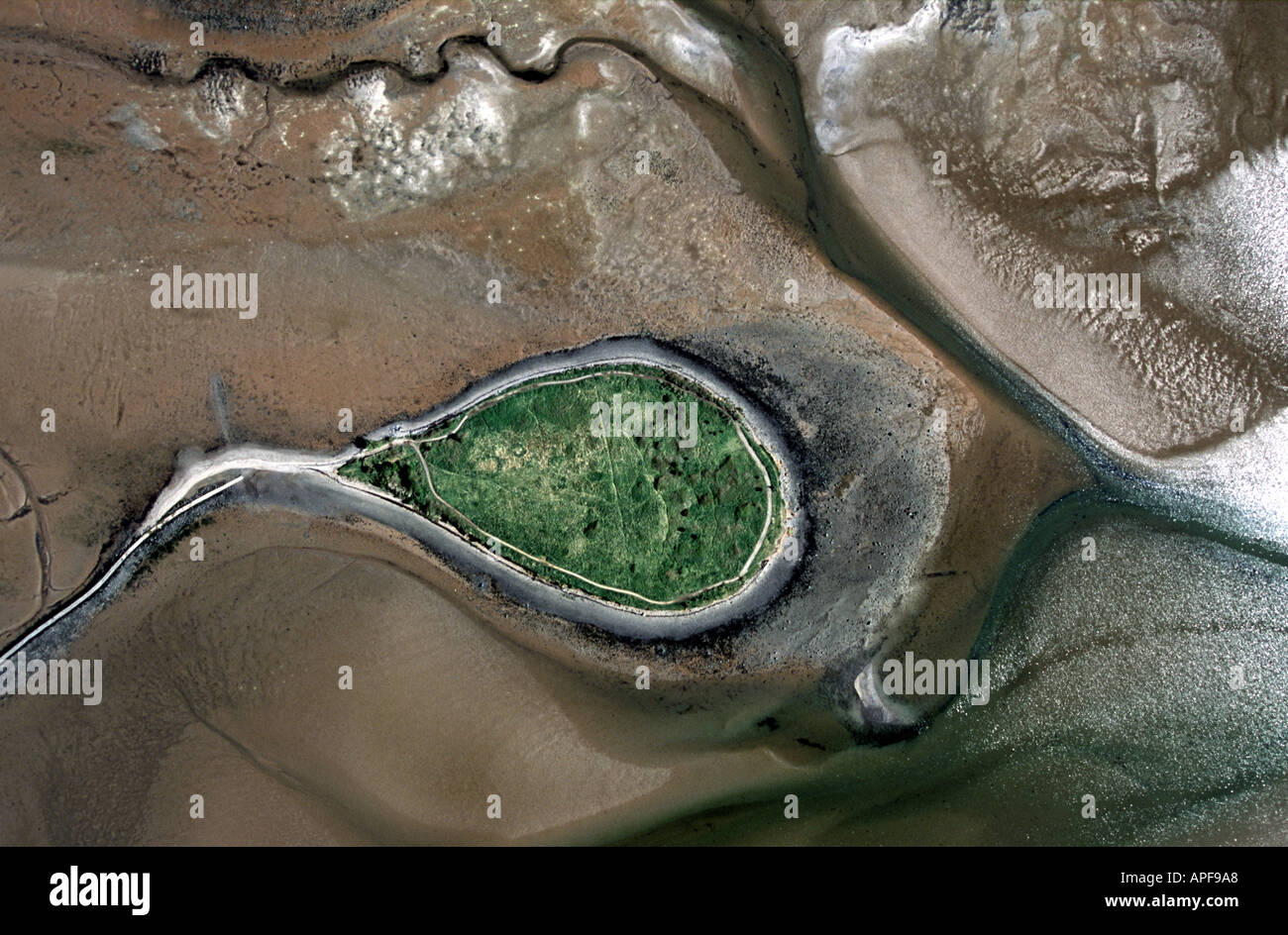 Island in Strangford Lough, Northern Ireland Stock Photo - Alamy