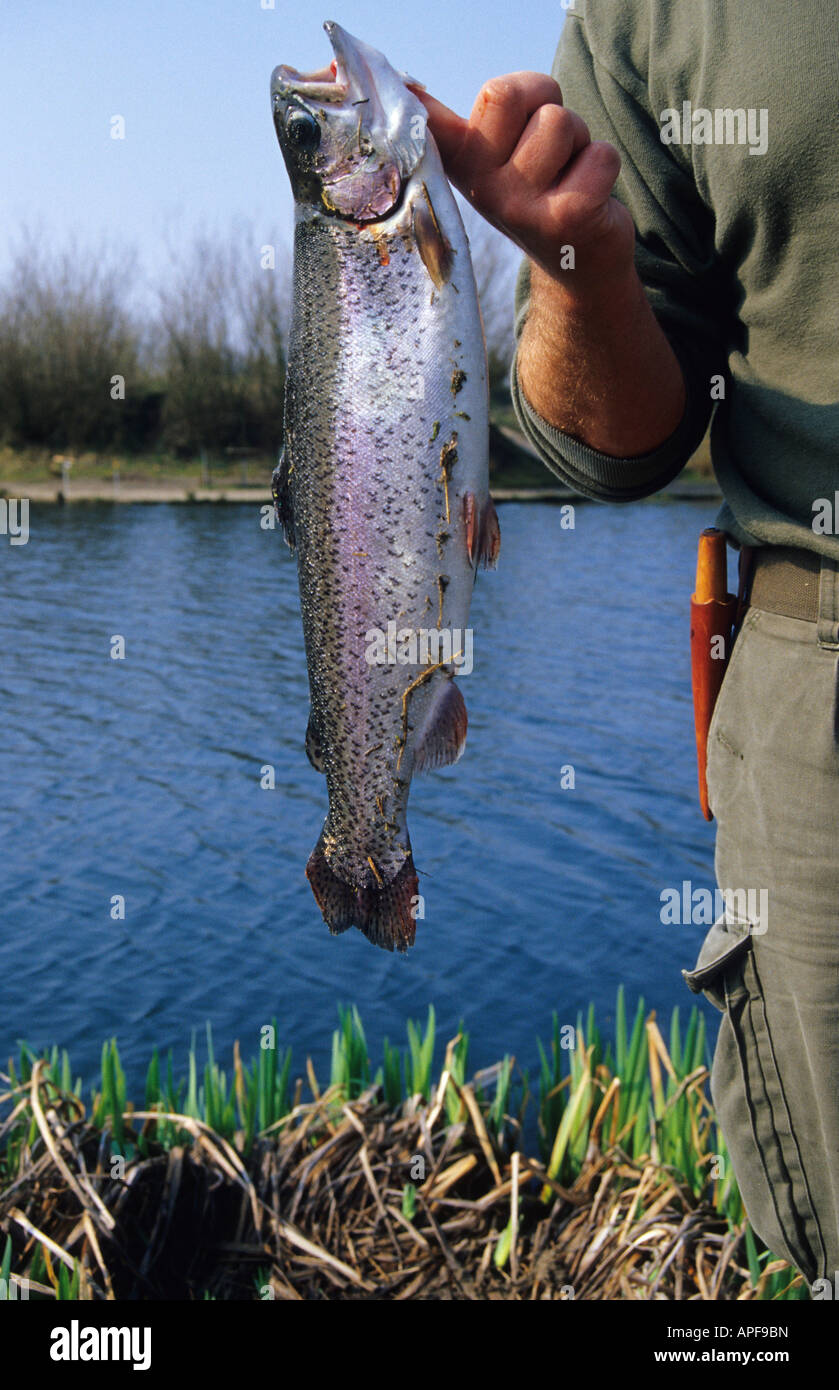 Pesca danesa hi-res stock photography and images - Alamy