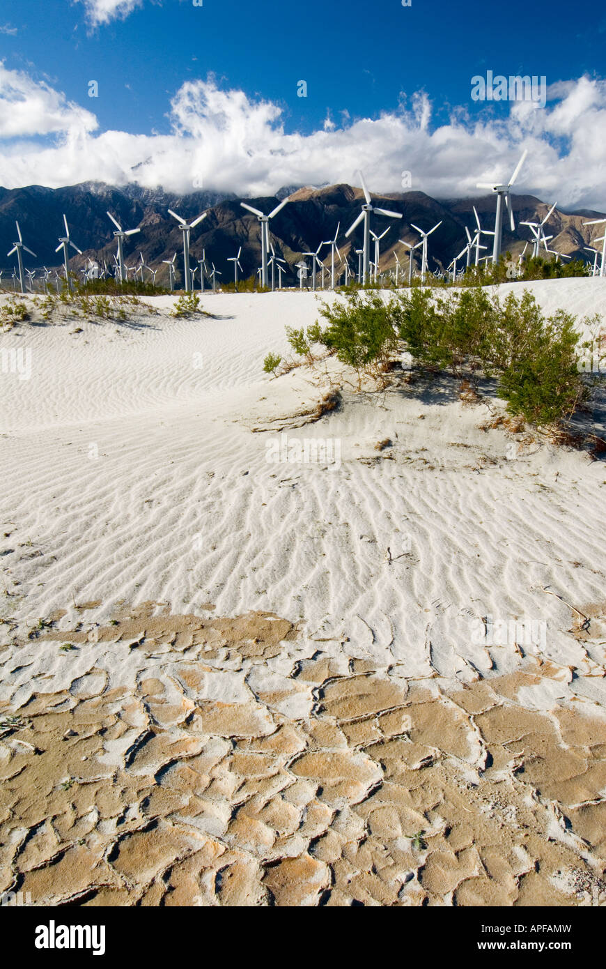 Wind farm in the desert near Palm Springs California Stock Photo - Alamy