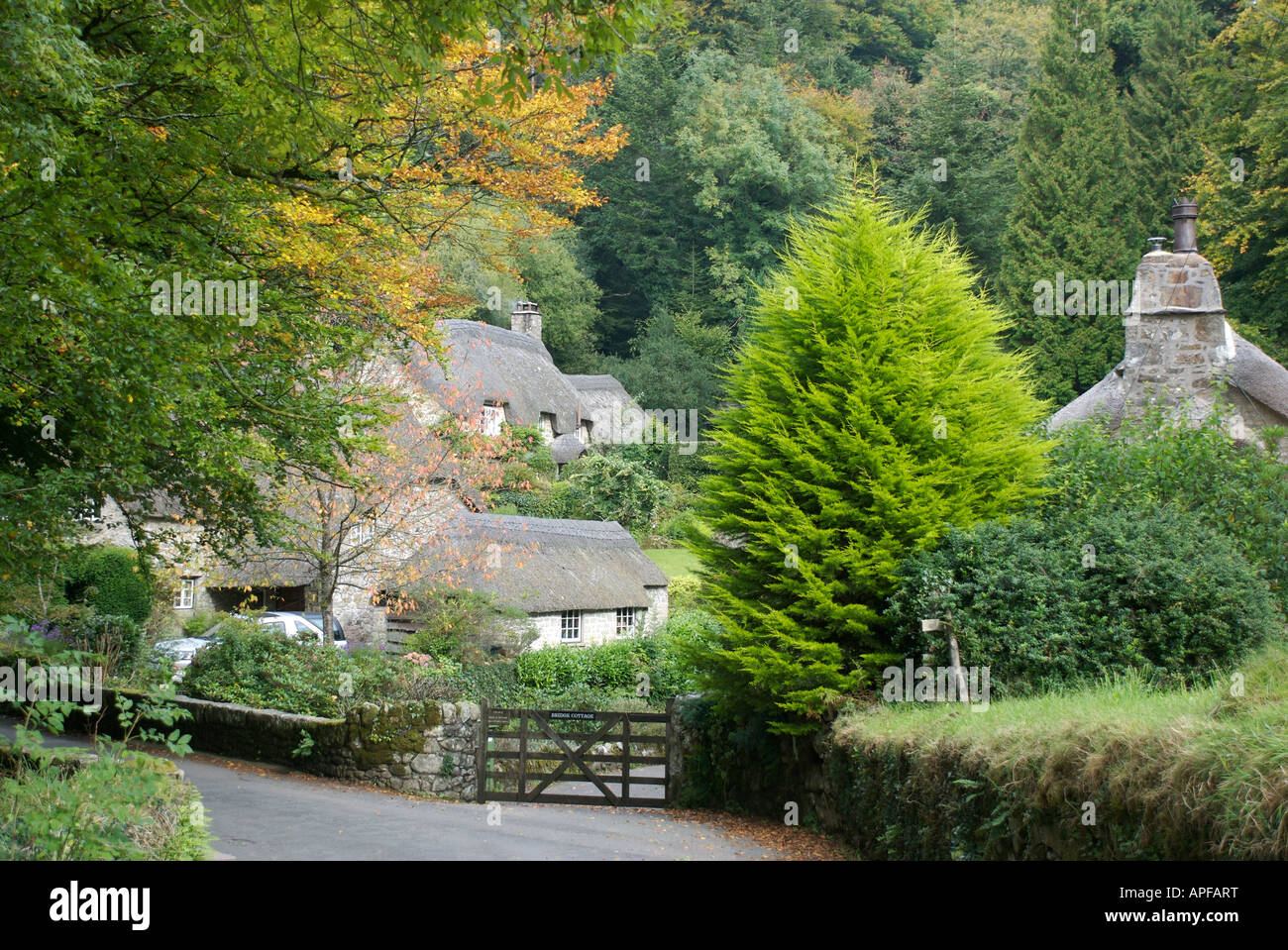 Thatched cottages, Buckland-in-the-moor, Devon Stock Photo - Alamy