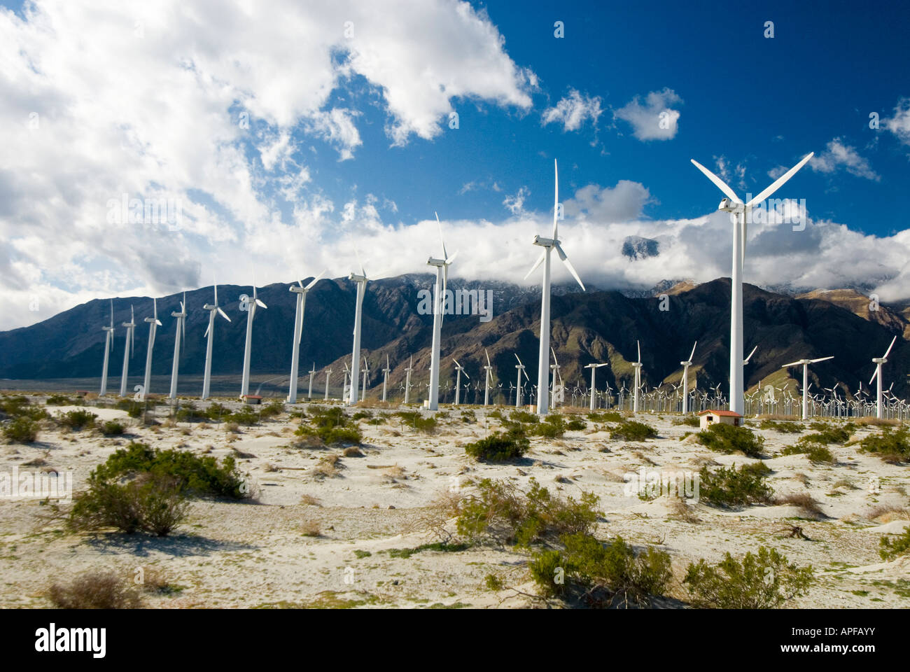 Wind farm in the desert near Palm Springs California Stock Photo - Alamy