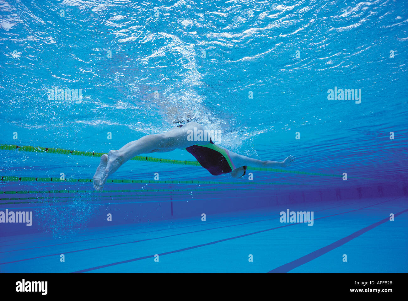 Sport Swimming Butterfly Stock Photo - Alamy