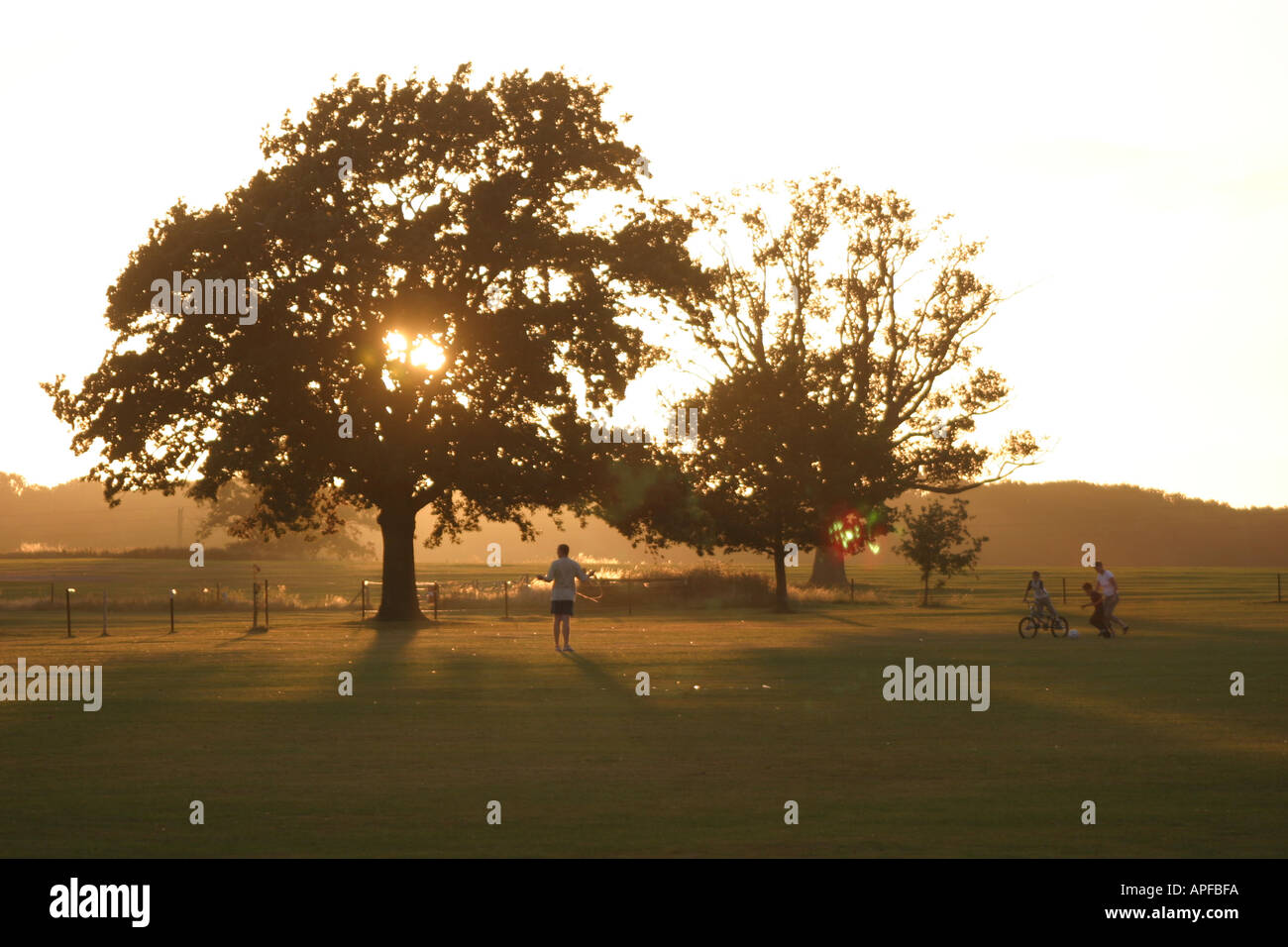 Swindon Wiltshire England Uk Great Britain Country Park High Resolution ...