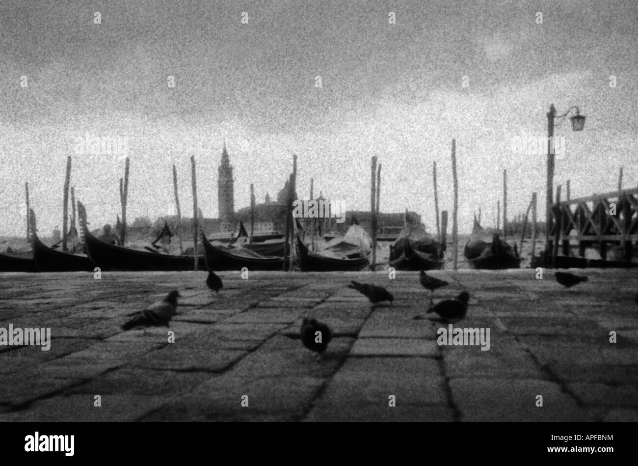 Infrared picture of pigeons,gondolas and St Giorgio Maggiore in Venice ...