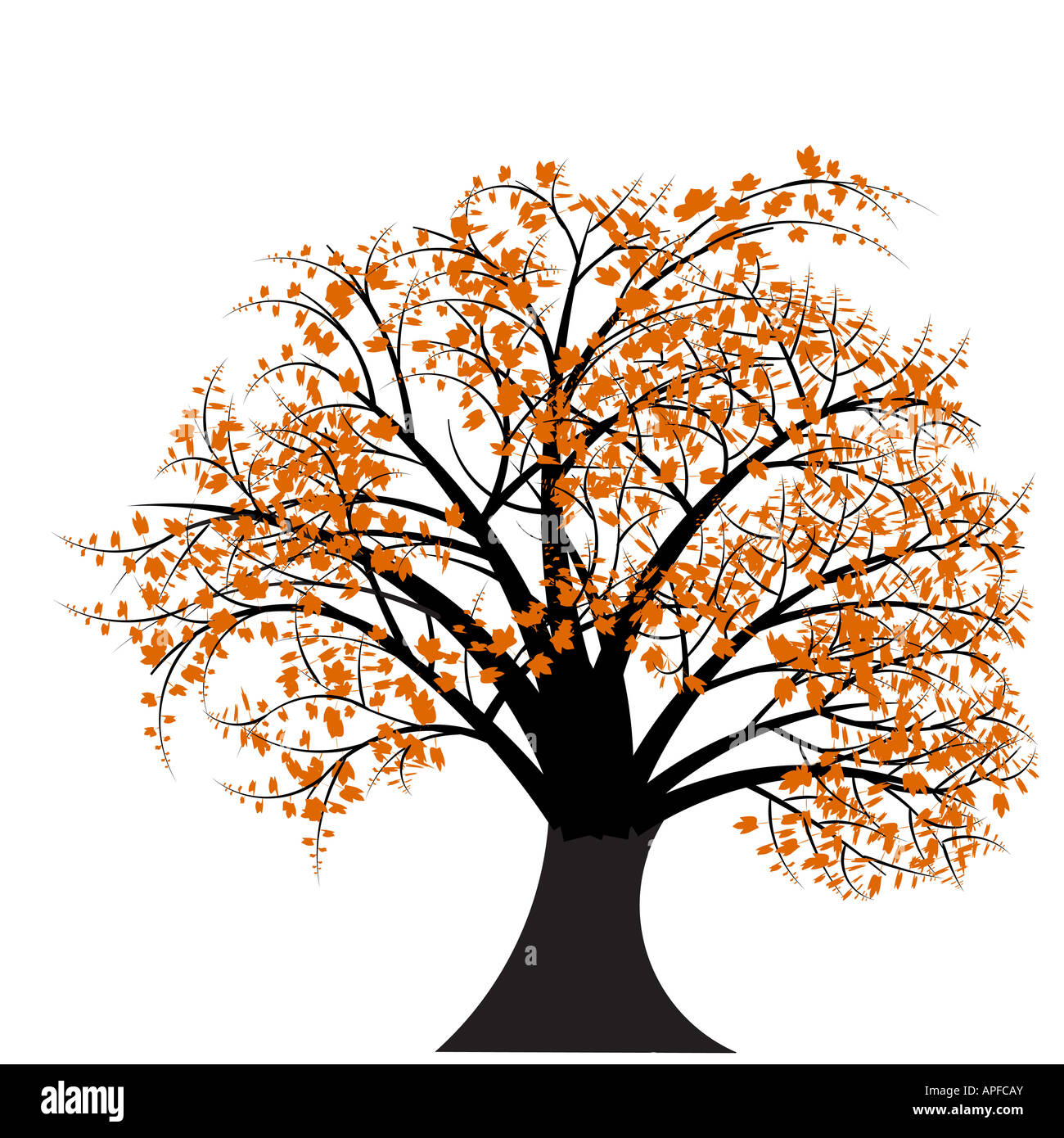 beautiful vector autumn tree design Stock Photo - Alamy