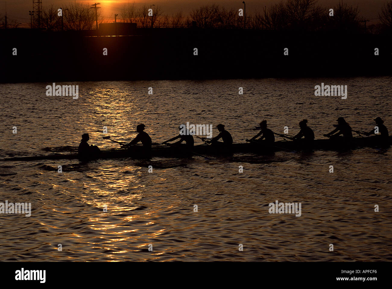 Sport Water Sports Rowing Stock Photo - Alamy