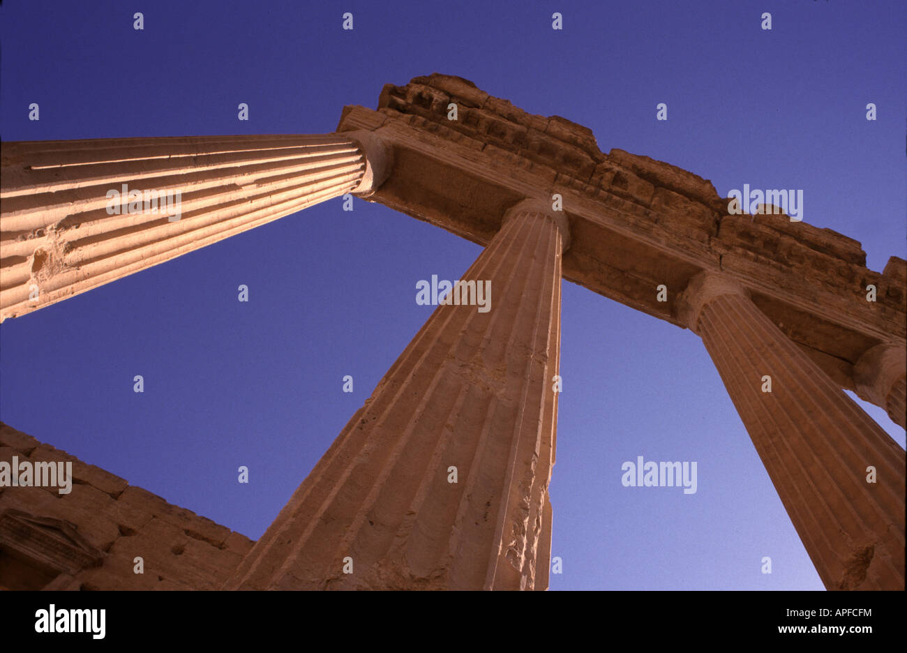The towering columns of the Temple of Bel Palmyra Syria Stock Photo - Alamy