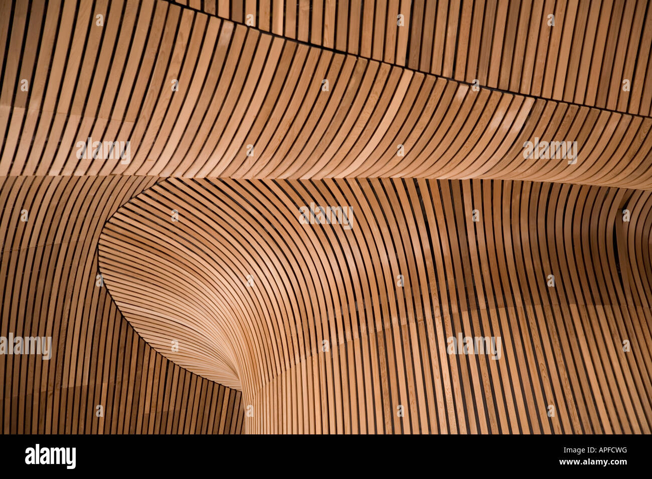 Interior of the Senedd building of the Welsh Assembly showing the ...