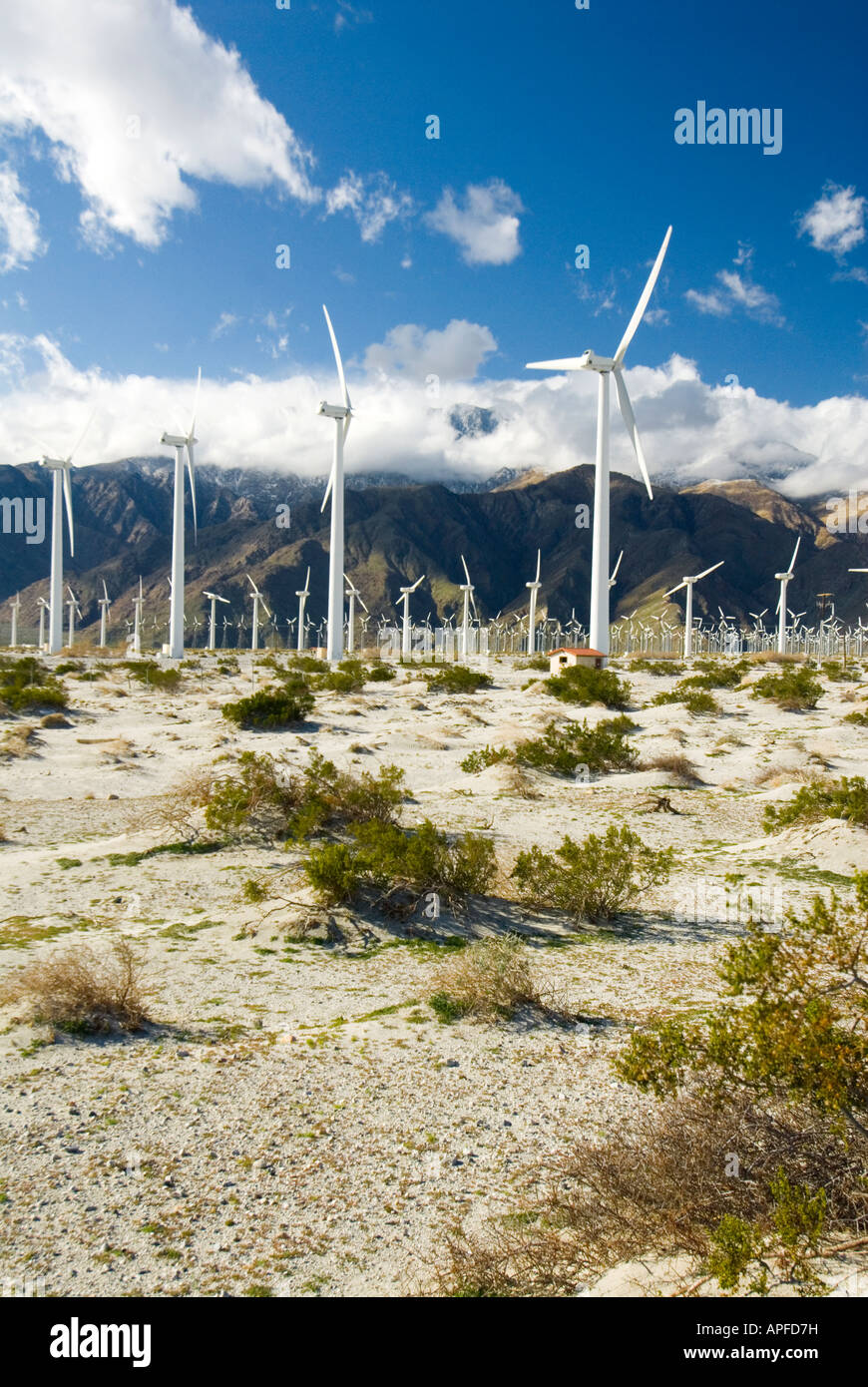 Wind farm in the desert near Palm Springs California Stock Photo - Alamy