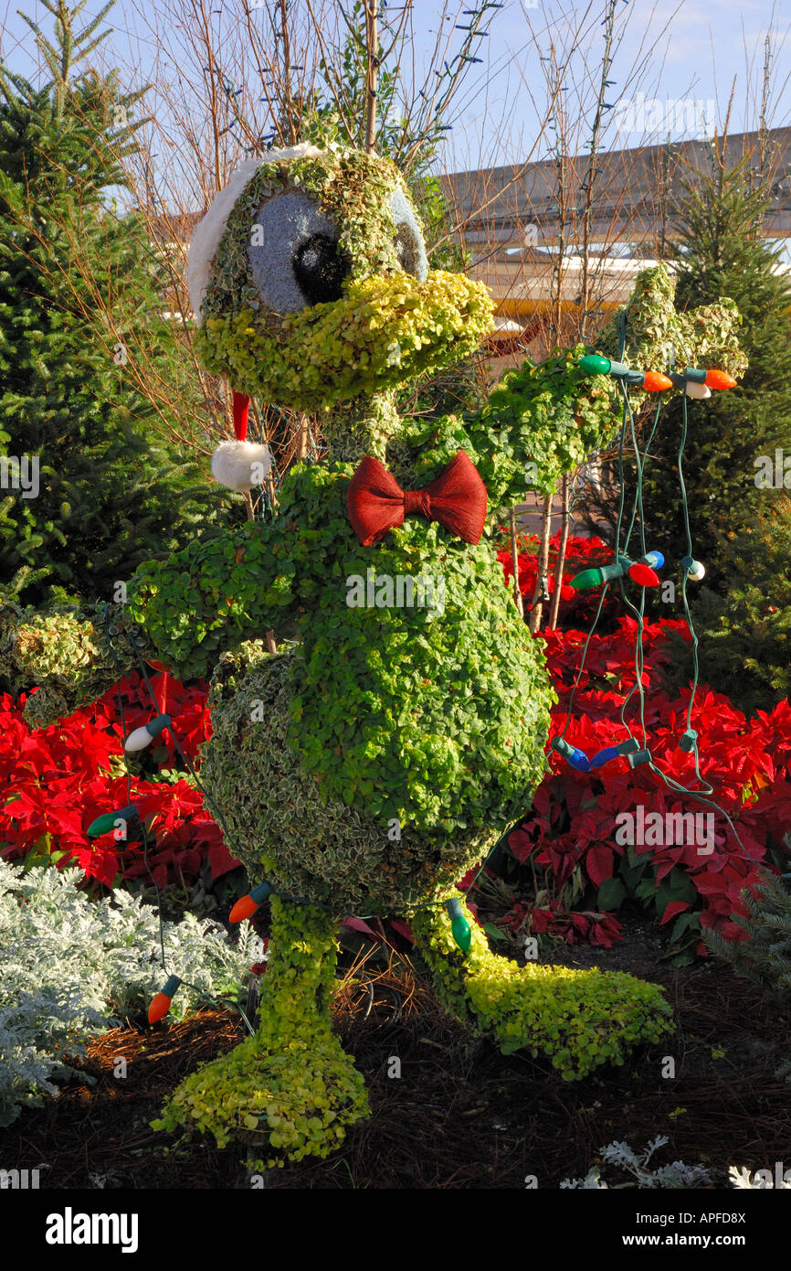 Topiary of Donald Duck at Epcot in Walt Disney World Florida USA Stock ...