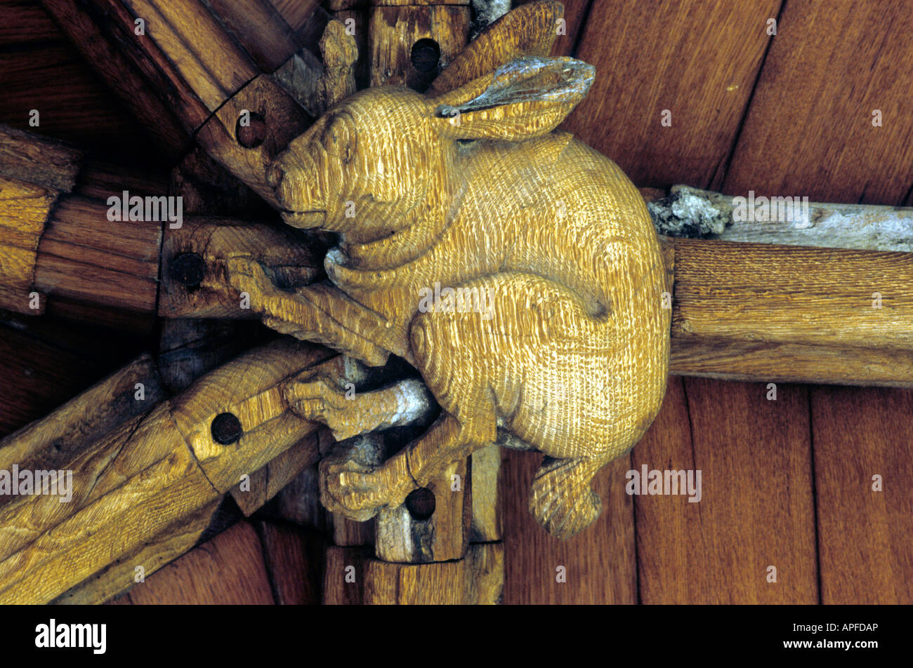 Lincoln Cathedral roof boss Rabbit medieval wooden bosses carvings ...