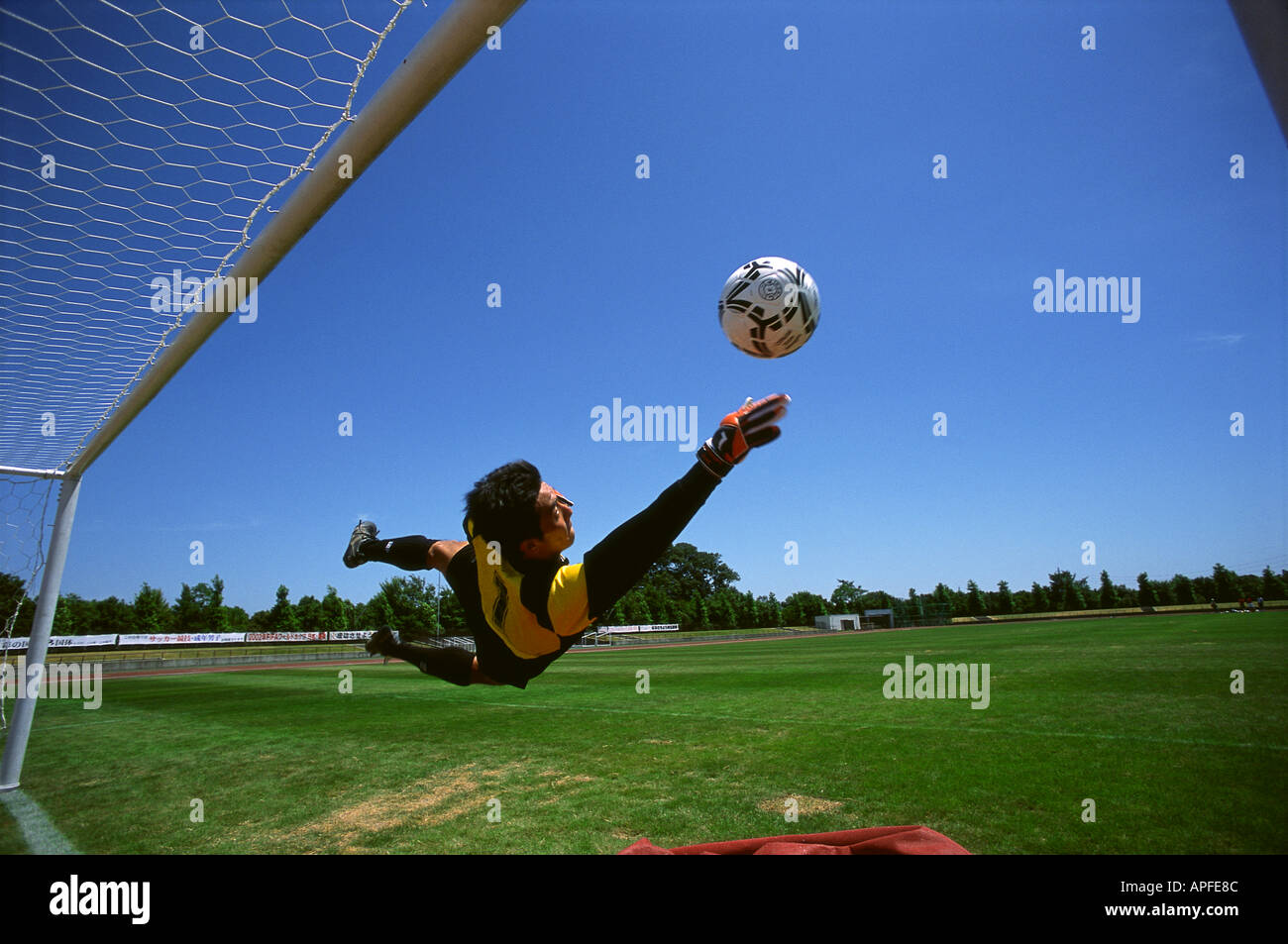Sport football action scoring diving hi-res stock photography and ...
