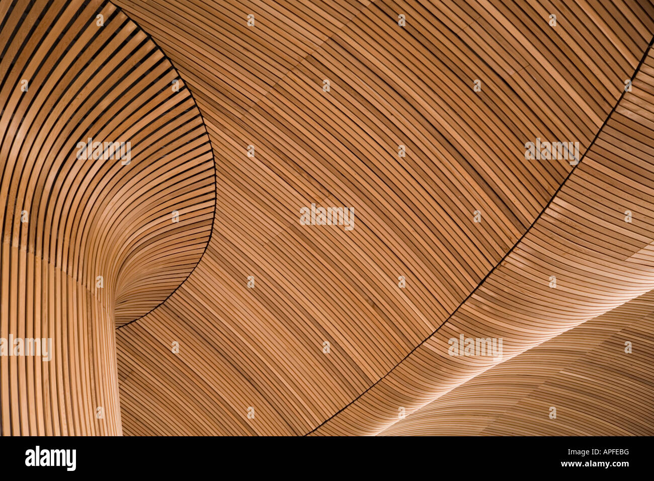 Welsh assembly ceiling hi-res stock photography and images - Alamy