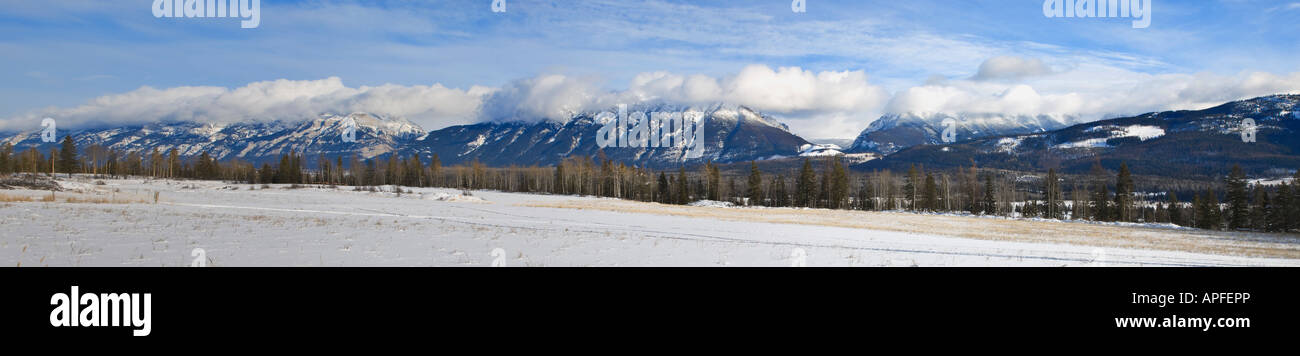 Elk in bc hi-res stock photography and images - Alamy